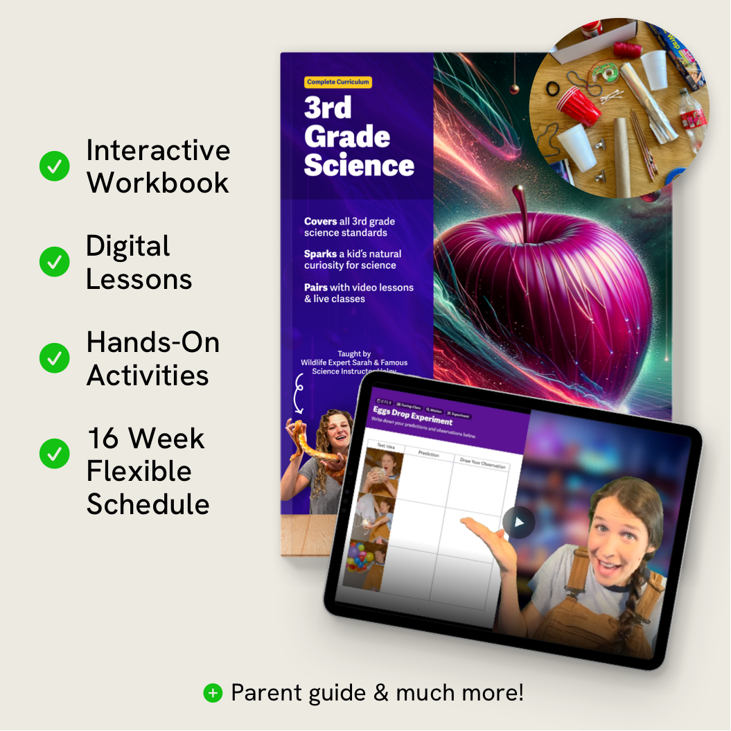 3rd Grade Comprehensive Science Curriculum – Tappity Science - Child ...