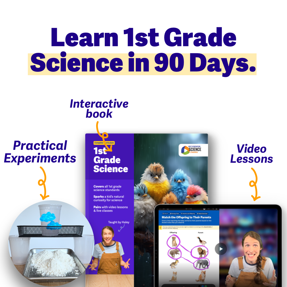 Tappity Science - Child-Led Science Courses