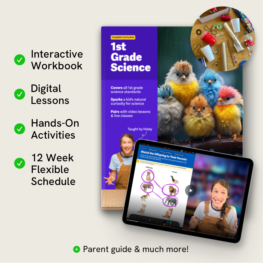 Tappity Science - Child-Led Science Courses