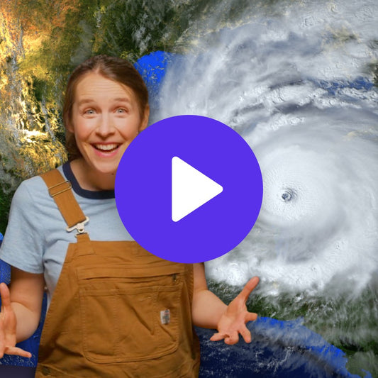 Tappity Store – Tappity Education Store